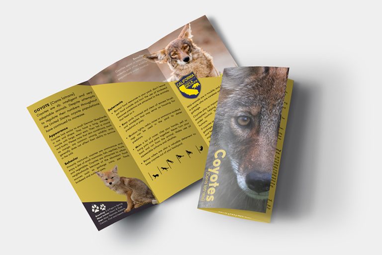 Local Wildlife - IVHS & SPCA