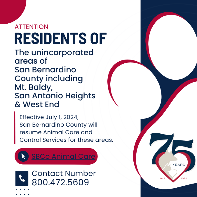 IVHS & SPCA - A home away from home