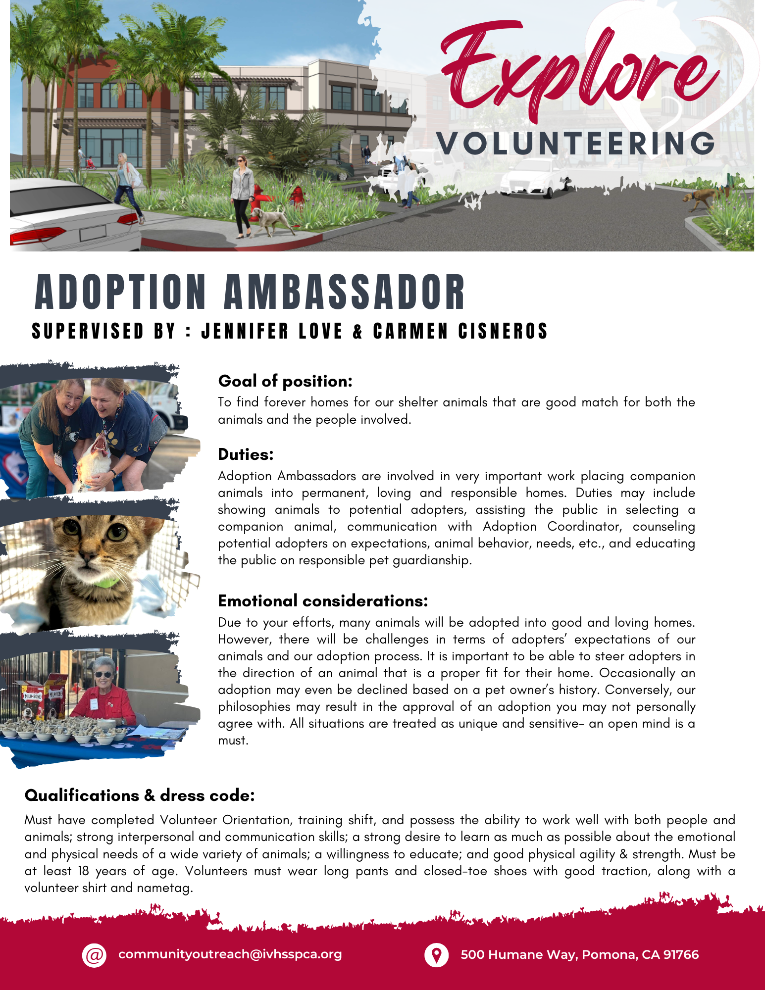 Volunteer - IVHS & SPCA