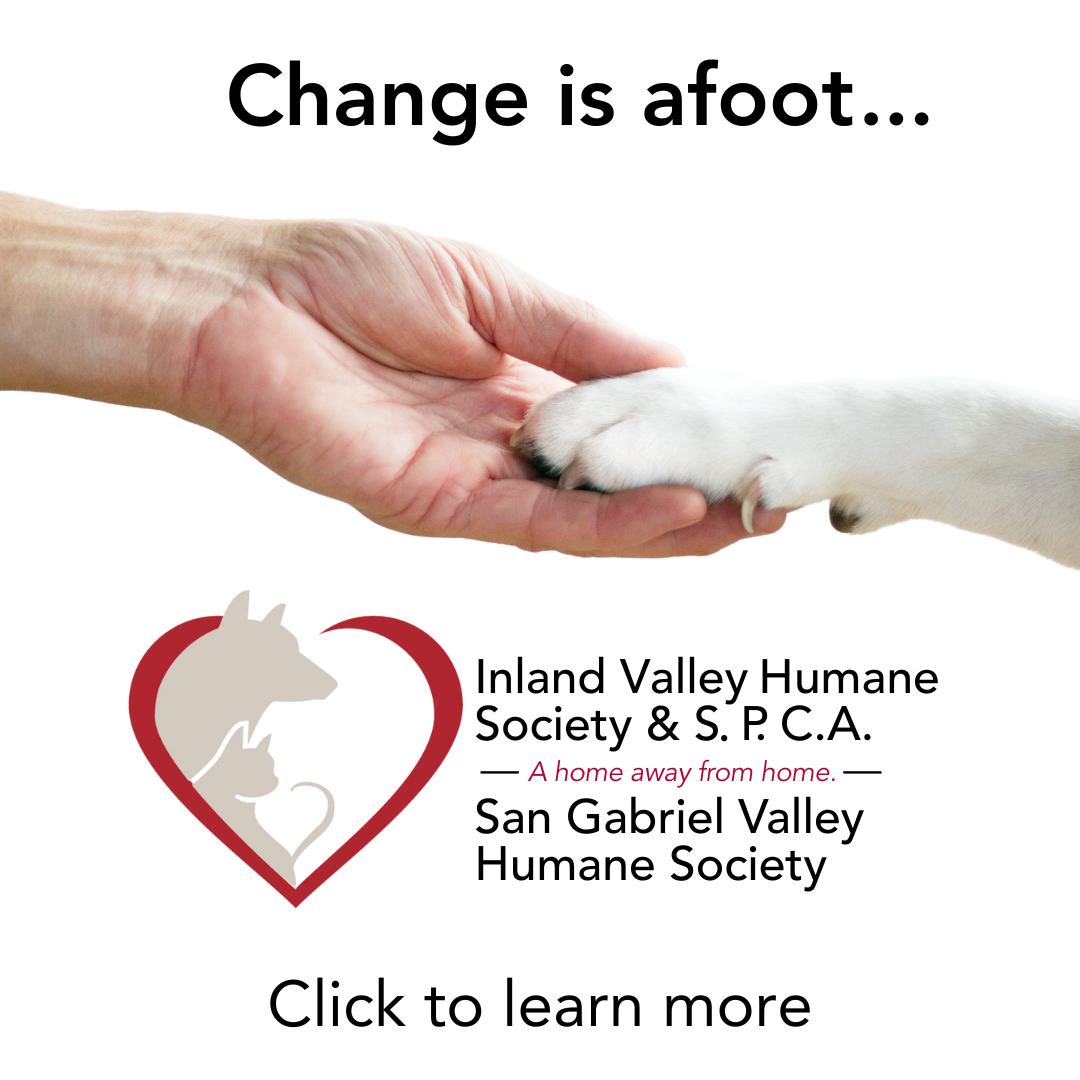 Inland Valley Humane Society and San Gabriel Valley Humane Society ...